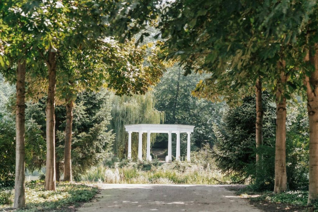 How to Create an Enchanted Forest Theme: Tips and Ideas for Success